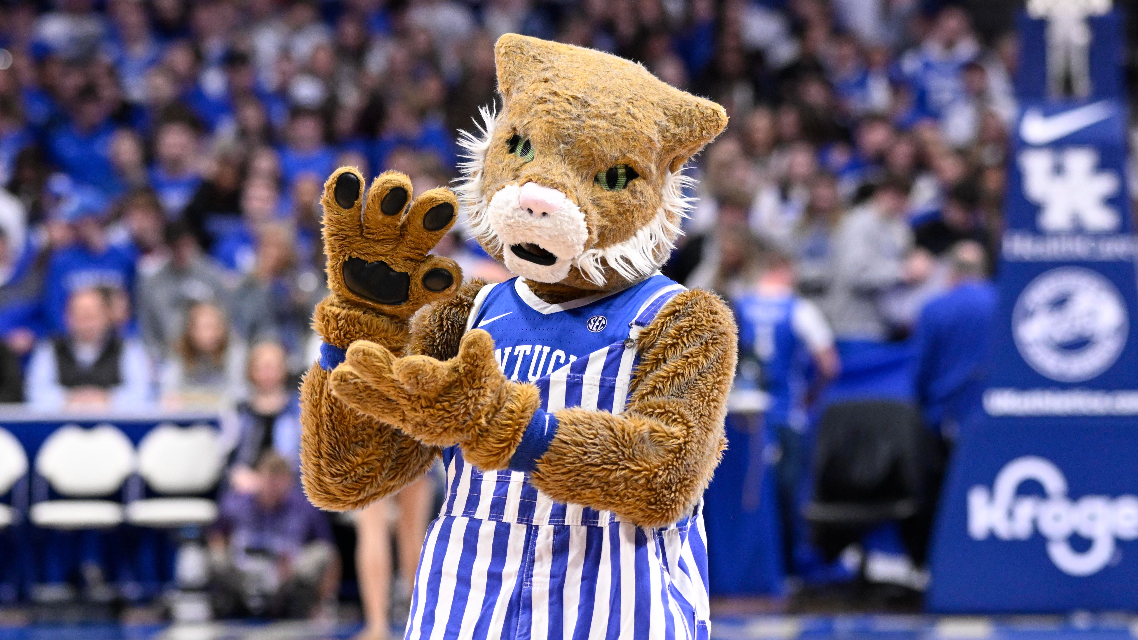 Kentucky vs. Western Kentucky Prediction, Betting Pick and Latest Odds ...