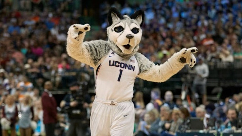 UConn vs. Baylor Prediction, Pick Against the Spread and Latest Odds